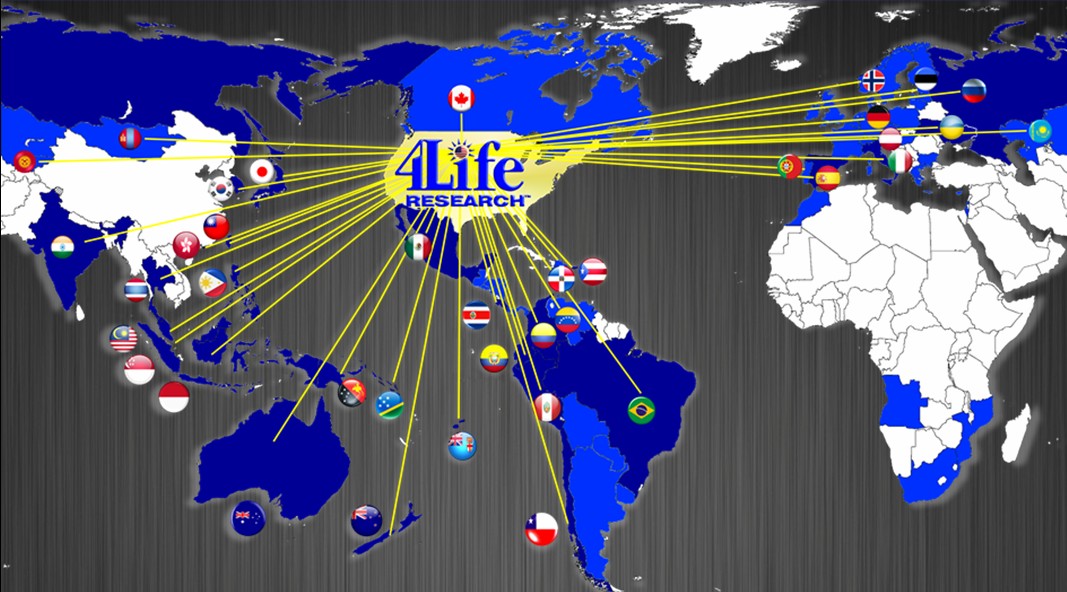 La Compañía :: INT 4life Europa
